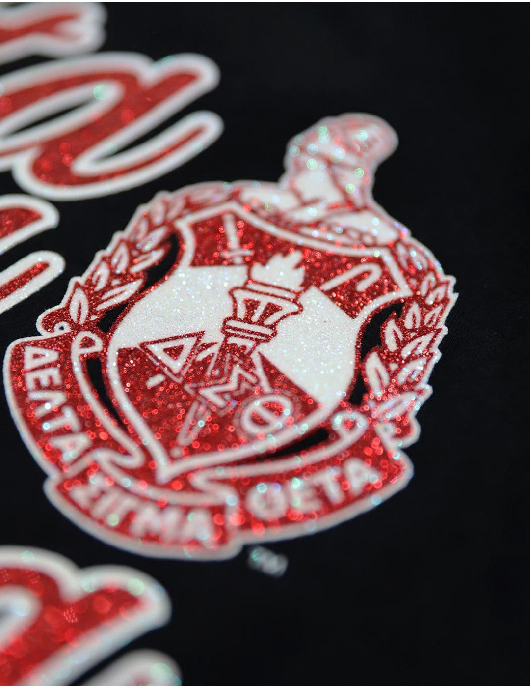 Delta Sigma Theta Long Sleeve Shield T-Shirt – Black Collection Apparel